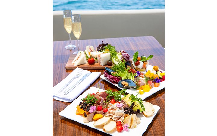 MARINE LIFE | MAGAZINE | TOUCH Plus